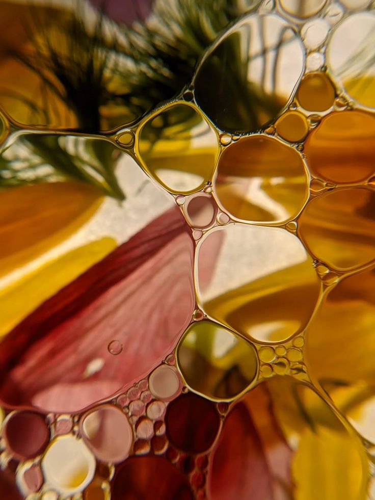 SKIN MICROBIOME: YOUR INVISIBLE ECOSYSTEM – amare aesthetics